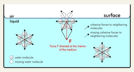Surface Tension And Its Dimensional Formula » Servantboy