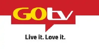 What type of job is ideal for graduates to take up? » Servantboy