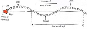 Longitudinal And Transverse Waves For WAEC and JAMB » Servantboy